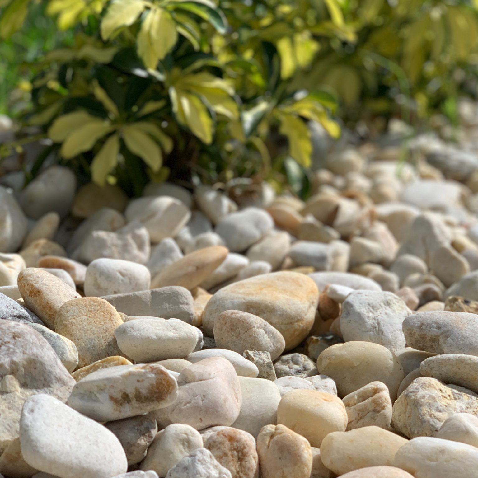 1/2" Brown River Rock Gravel Bulk | Big Earth Supply