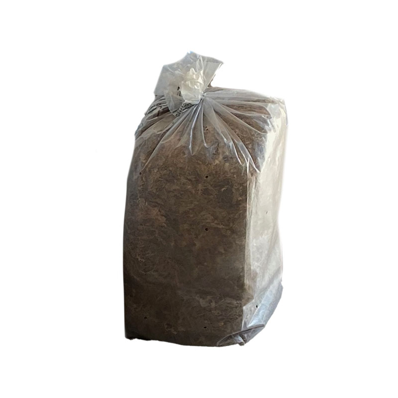 Sphagnum Moss Mini Bale 2cu | Big Earth Landscape Supply