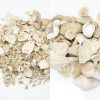 Bulk Washed Shell | Big Earth Supply
