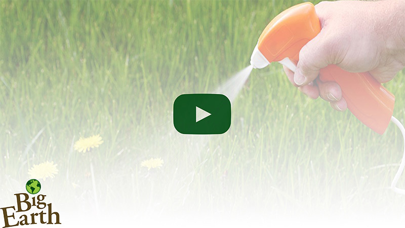 Ranger Pro vs Roundup: Which Should You Choose? | Big Earth Supply