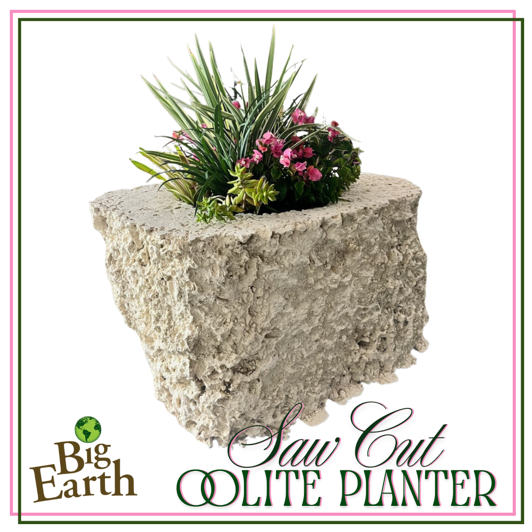 Florida Oolite Planter | Big Earth Landscape Supply
